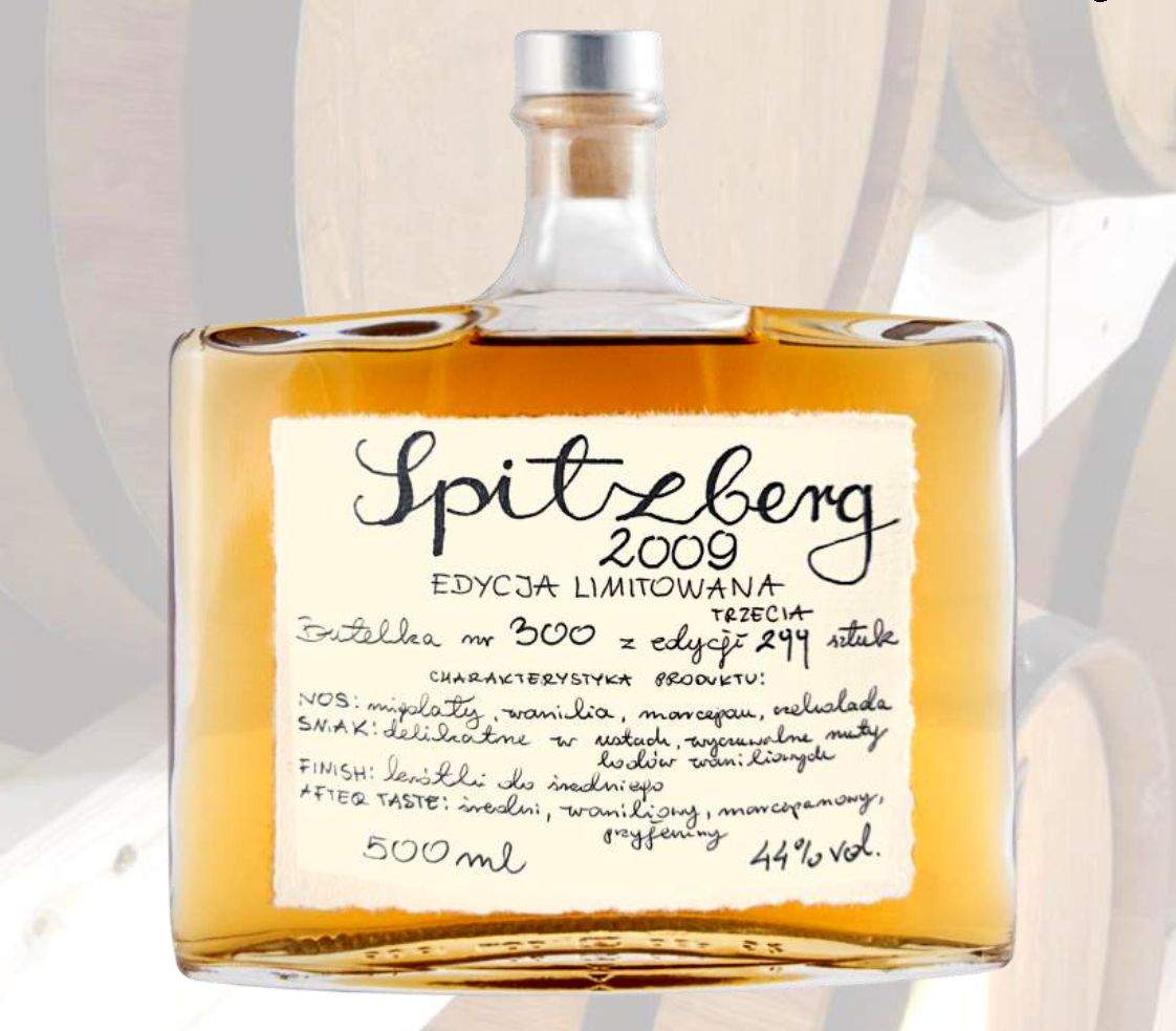 Nieznany artysta - Spitzberg 2009 | Artinfo.pl - portal rynku sztuki