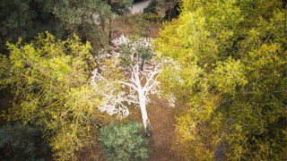 Dominik Lejman. We miss, what we | Artinfo.pl - portal rynku sztuki